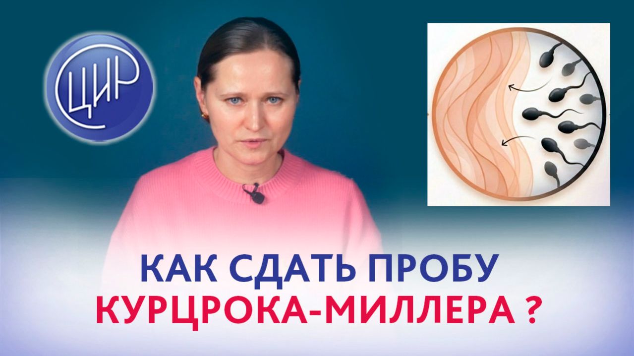 Совместимость на уровне шейки матки: проба Курцрока-Миллера. Акушер-гинеколог ЦИР, О.В. Тимофеева.