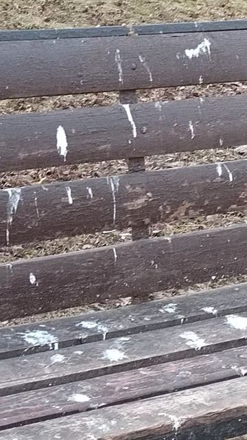 №2069 Комсомольский проспект. 5 апреля 2026 г., 19:36:12 VID_20260405_193537219