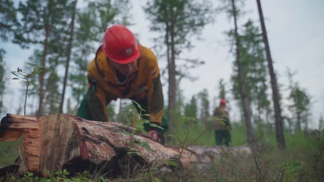 Останови огонь! | О сбережении лесных ресурсов России