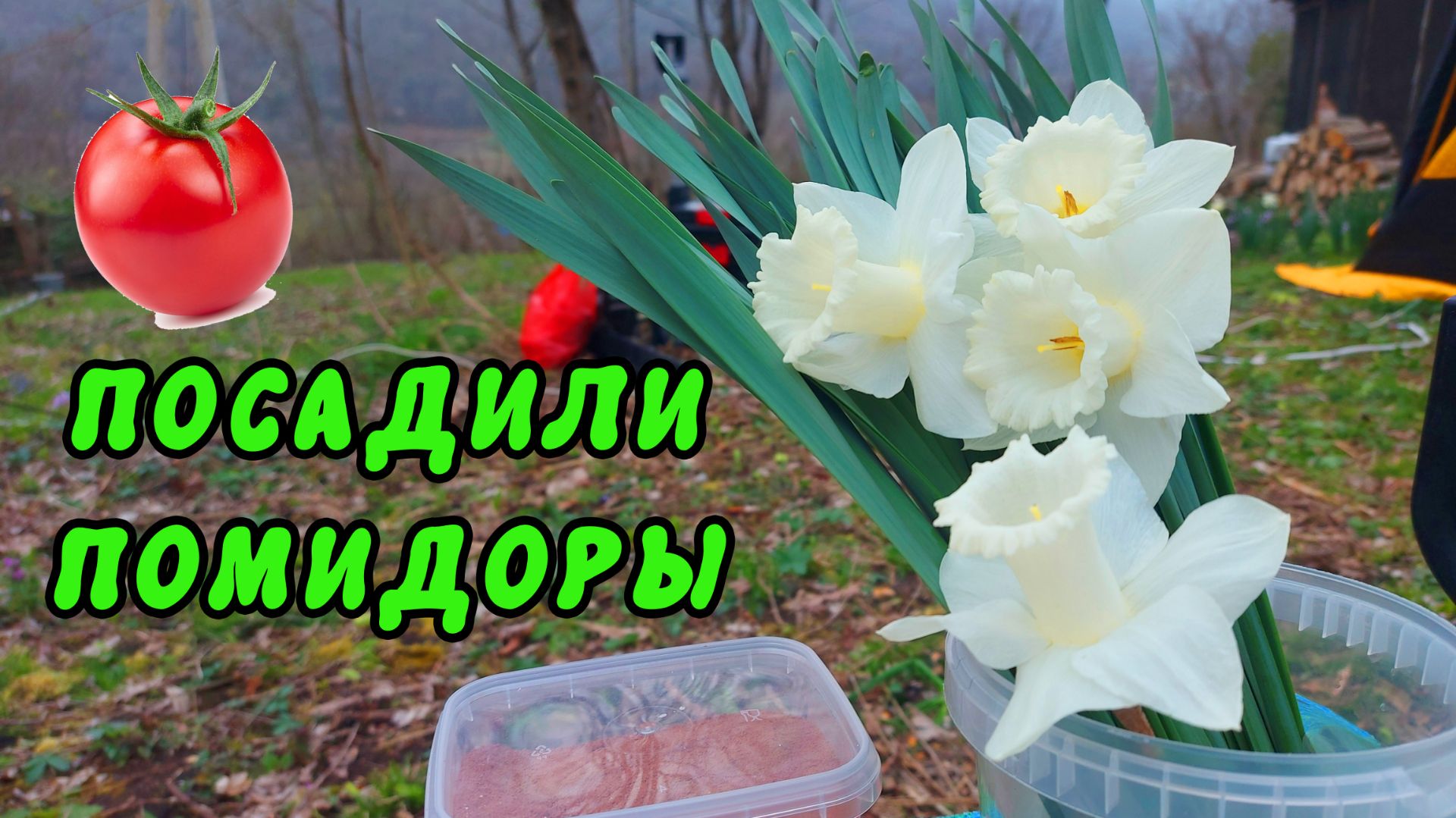 Помидоры посажены или как мы на дачу по весне ездили.