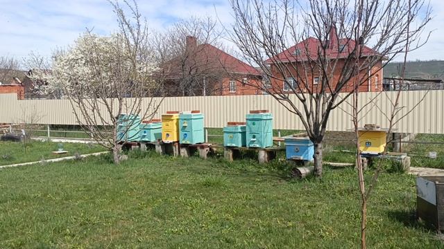 проверка на маточник