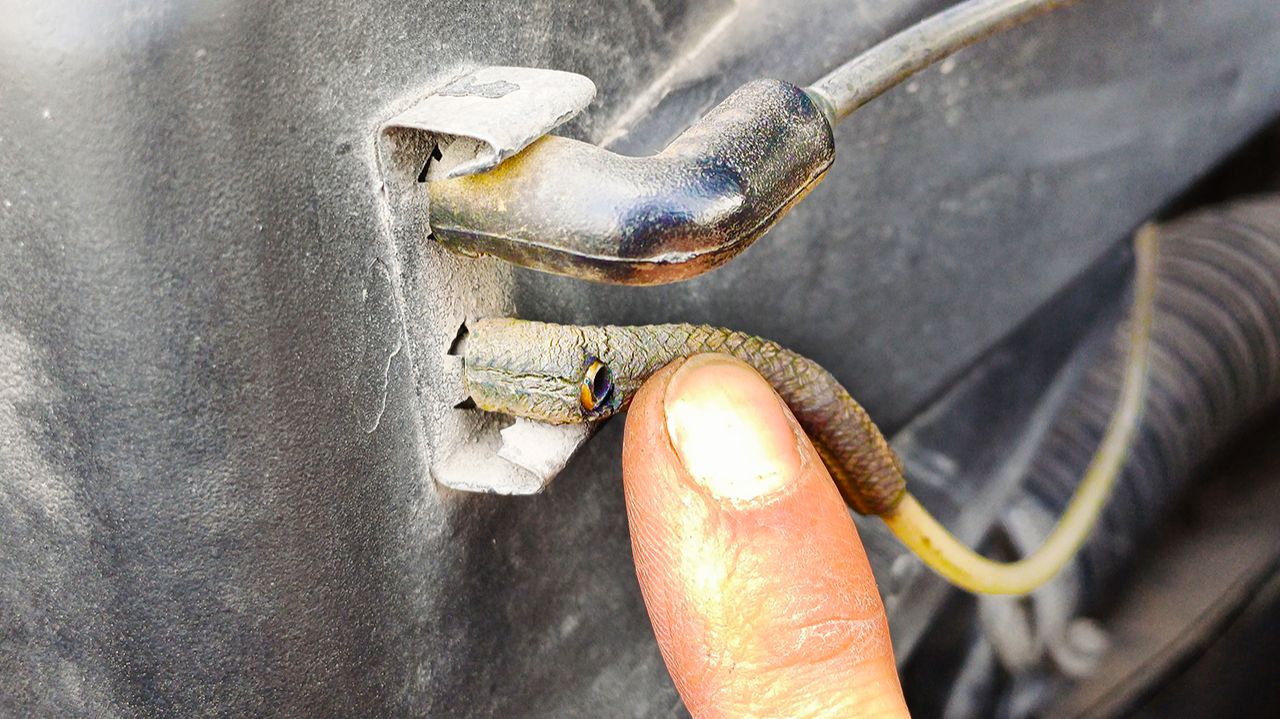 Плавают обороты, троит, большой расход? Ищи подсос воздуха! | Golf 3