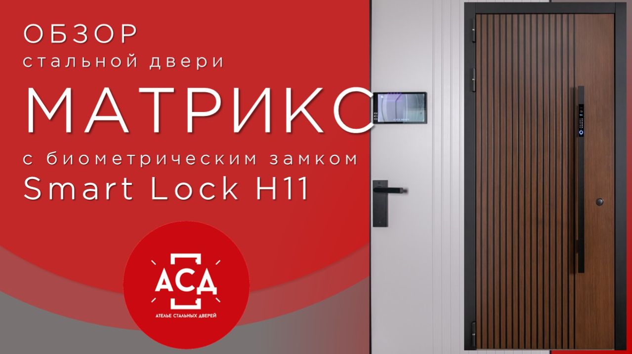 Стальная дверь Матрикс (биометрический замок Smart Lock H-11)