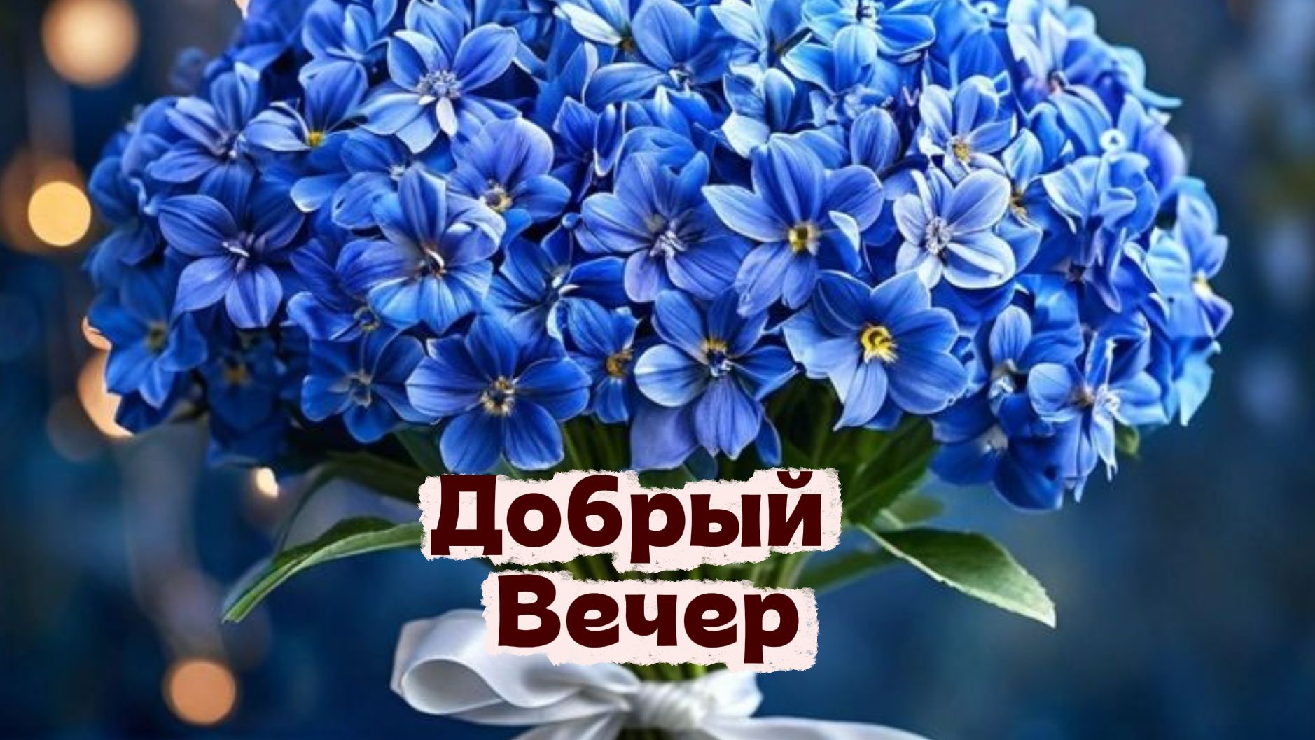 Добрый вечер с добрыми пожеланиями!