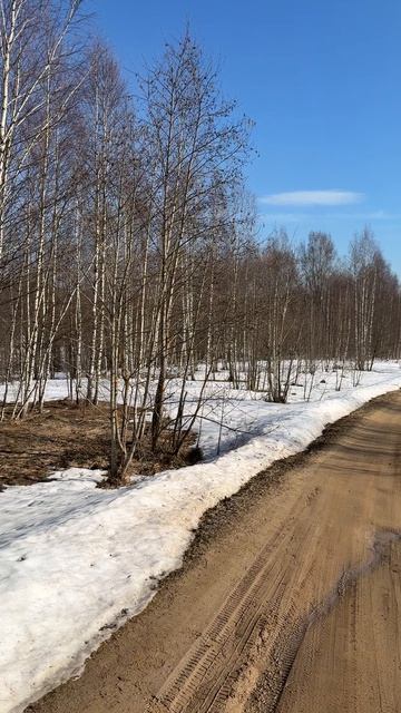 Продается  участок 24.4 сотки в ДПК Поляны, между д. Конюхово и д. Корелы, Александровский район