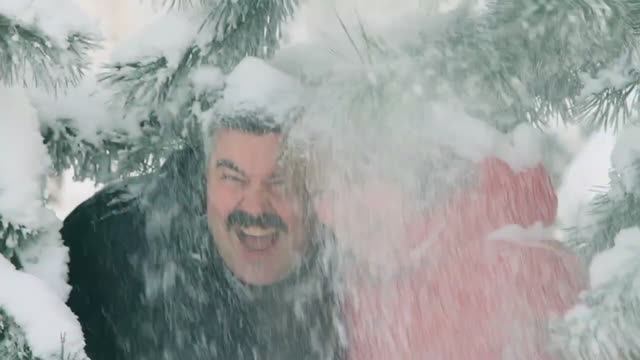 sv новый год