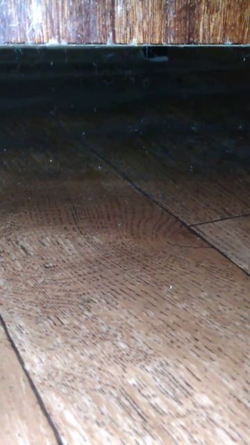 Феодосия Крым обзор домика