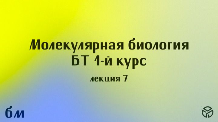 Молекулярная биология, 7 лекция, Лавренова В.Н., 04.04.2026