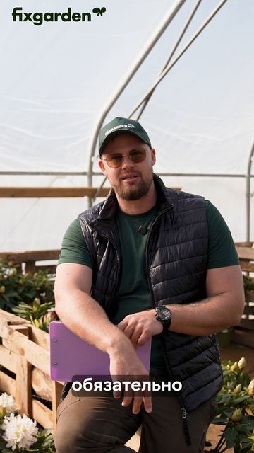 Роскошь весеннего сада