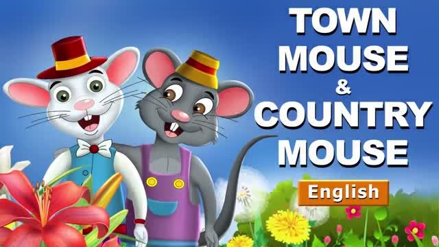 Town mouse and country mouse