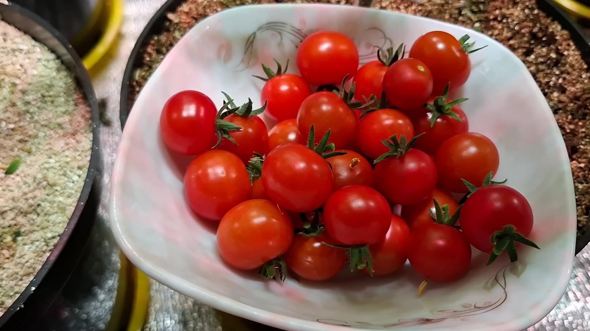 Пробираюсь в теплицу/Собрала урожай/Готовлю Рагу и стейки куриные