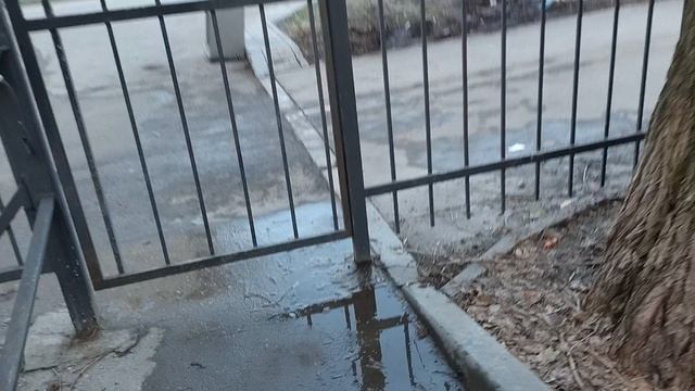 №2073 Двор П. Осипенко 48. 5 апреля 2026 г., 19:50:03 VID_20260405_194857877