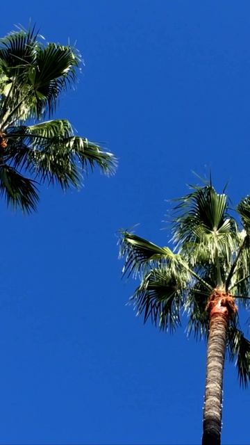 Лёгкость в теле 🎵 Лёгкая зыбь 🌿 Морская прохлада ✨