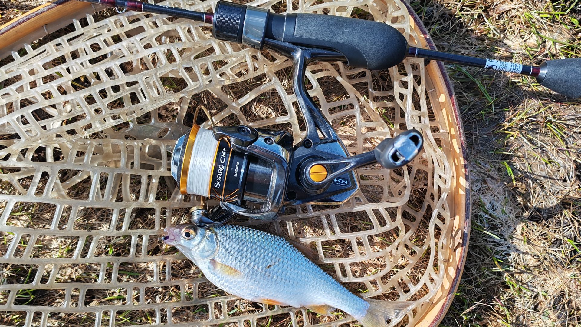 МОРМЫШИНГ. Приток Десны 4 апреля 2026 года