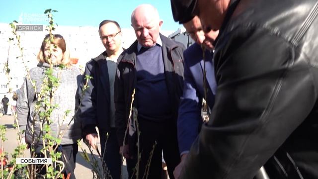 В Брянске открылись ярмарки выходного дня