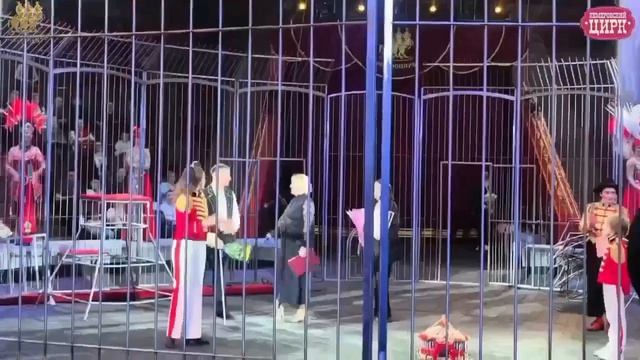 Завершились гастроли программы «Империя львиц»