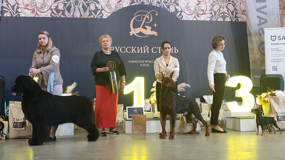 21.03.2026, СПб. Клуб "РУССКИЙ СТИЛЬ". Выставка CAC 2 группы FCI