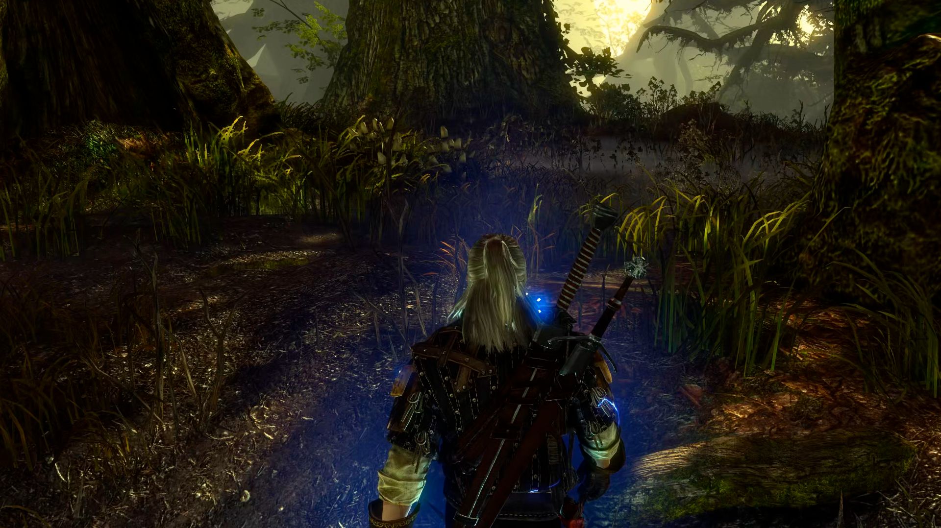 Ведьмак 2: Убийцы королей - серия 13 - Гуляем по лесу Флотзама