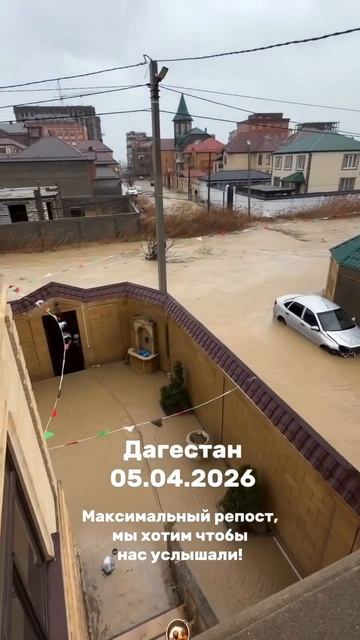 Вот короткая нарезка от местных о том, с чем именно столкнулись люди в Дагестане