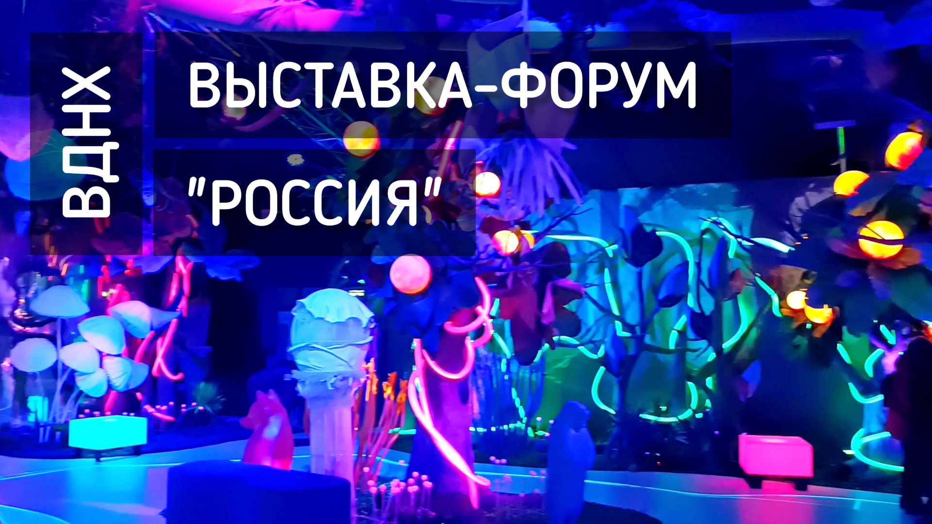 Выставка 'Россия' на ВДНХ 🌍 Природоград и ЖКХ. ВКонтакте / VDNH.  Exhibition-forum "Russia" #вднх