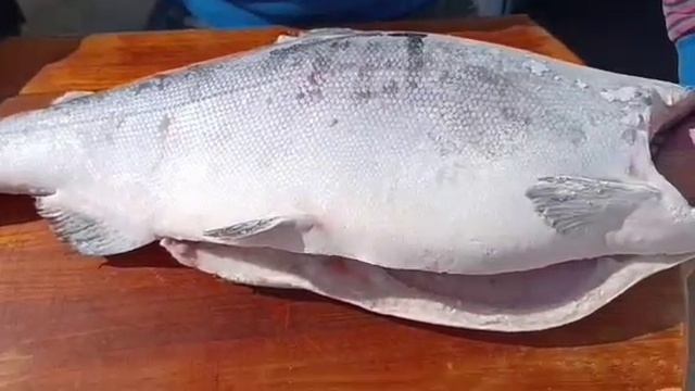 Лосось-Семга шоковой заморозки