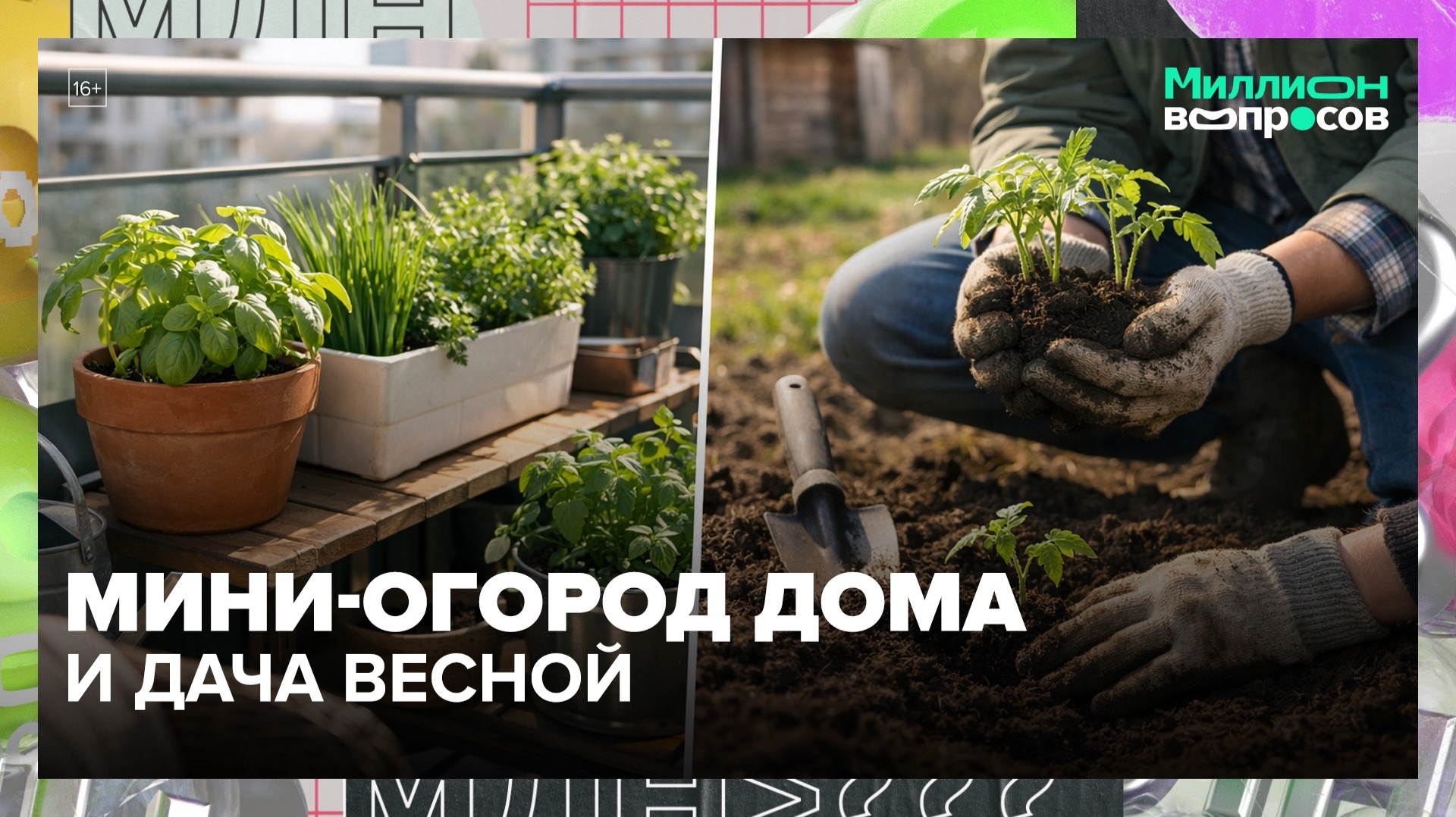 Как вырастить зелень дома и когда начинать дачный сезон? | Миллион вопросов — Москва 24