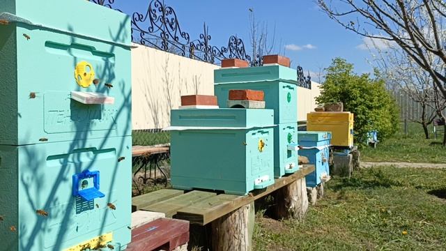 семьи развиваются