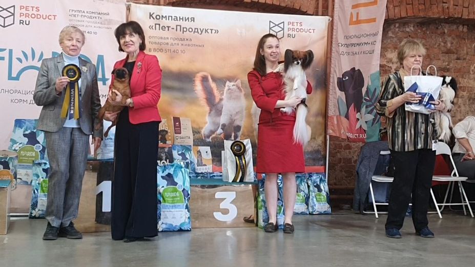 21.03.2026, СПб. Клуб "РУССКИЙ СТИЛЬ". Выставка CAC 9 группы FCI