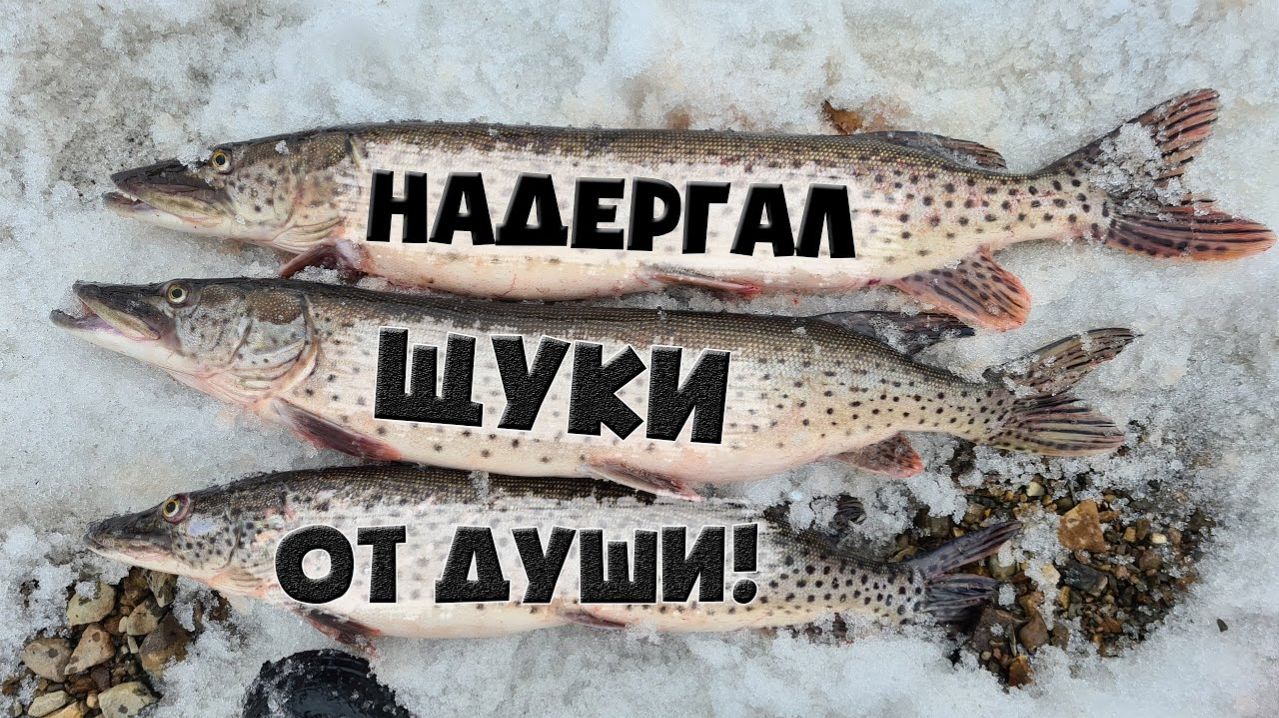 Лучшая Рыбалка на Щуку Зимняя Рыбалка на Махалку Русская Рыбалка Онлайн на RUTUBE Смотреть Бесплатно