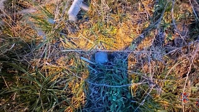 Хроника происшествий за 3-5 апреля 2026 года