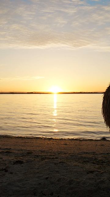 Свобода мыслей ☁️ Пение чаек 🌅 Утренний рассвет 🌿