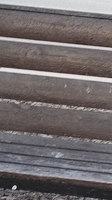 №2068 Комсомольский проспект. 5 апреля 2026 г., 19:35:20 VID_20260405_193439080