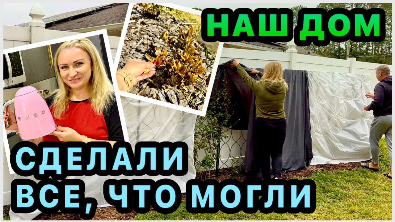 Что с растениями после мороза? Спасаем чайник из распаковки. Покупки в русском магазине. США