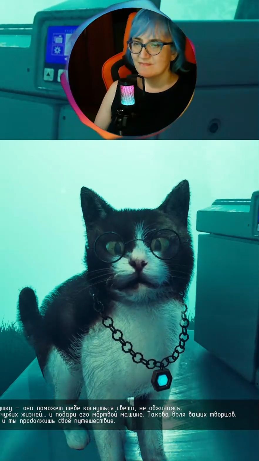 Гладим котика в  #aspis #аспис