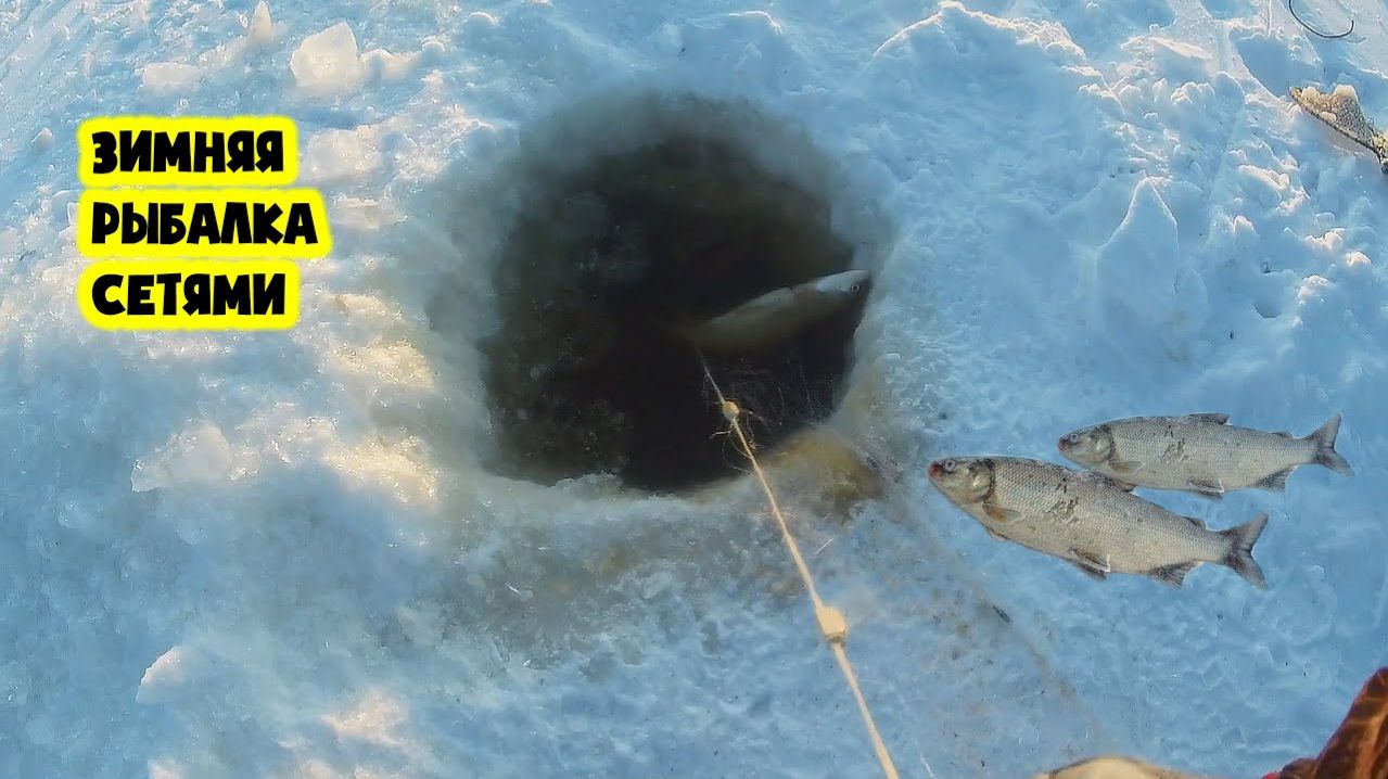 Рыбы Навалом Нереальный Карасёвый Жор Ловлю Сетями Лучшая Зимняя Рыбалка 2026 Русская Рыбалка Онлайн