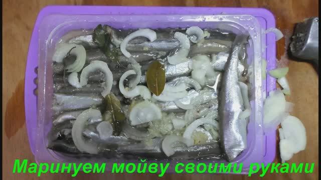Как замариновать мойву своими руками