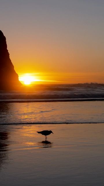 Отдых после работы 🏝️ Береговая линия 🌅 Солнечный день 🌙