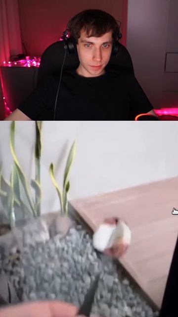 Девочке принес десерт