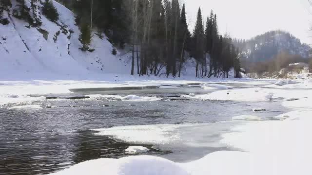 Природа нашего города Сим