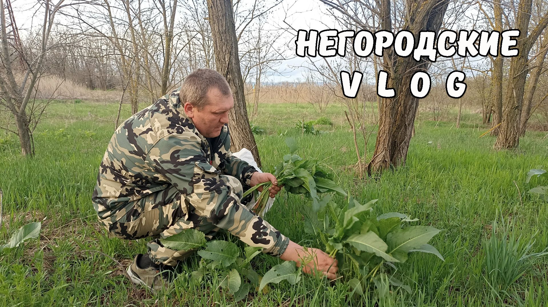 Порадовали НУТРИЙ весенним щавелем! 04.04.26