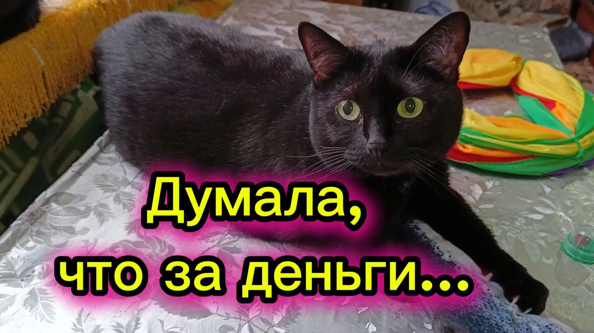 АНЕКДОТ 😜 ДНЯ