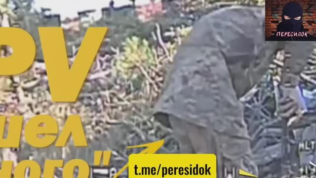 Дрон залетел точно между полушариями