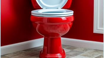 Настройка запорной арматуры унитаза, регулировка сливного механизма.