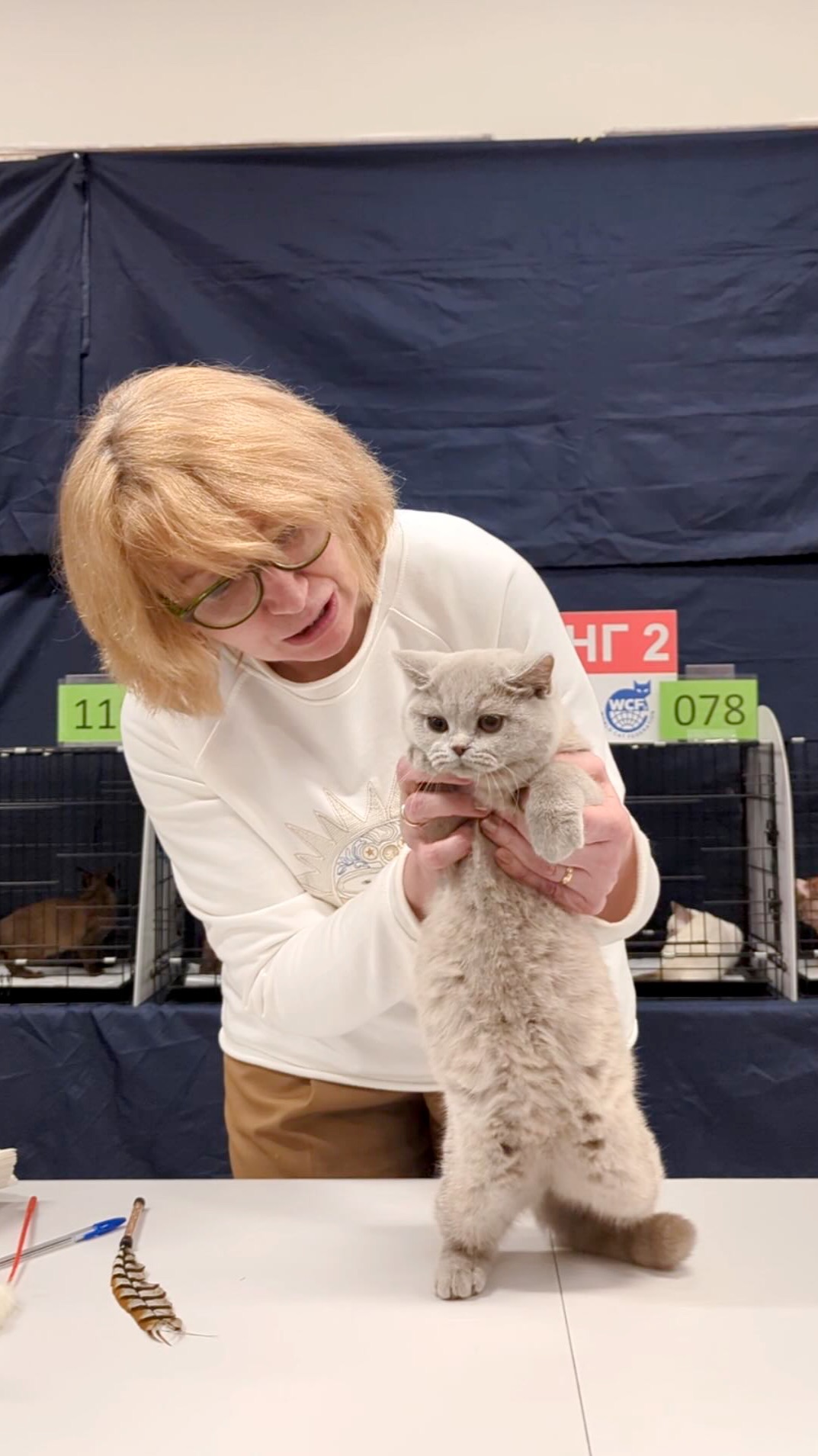 Веселина на шоу WCF