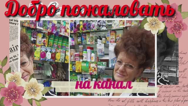 2342.  ВПЛ.Рассада перцев меняет окраску?