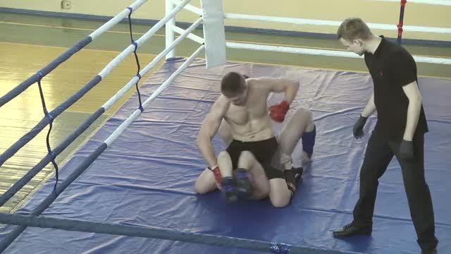 Боевые единоборства ММА