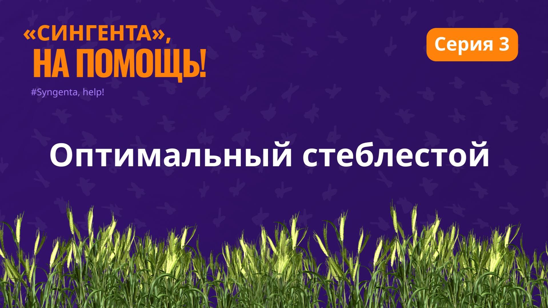 ОПТИМАЛЬНЫЙ СТЕБЛЕСТОЙ