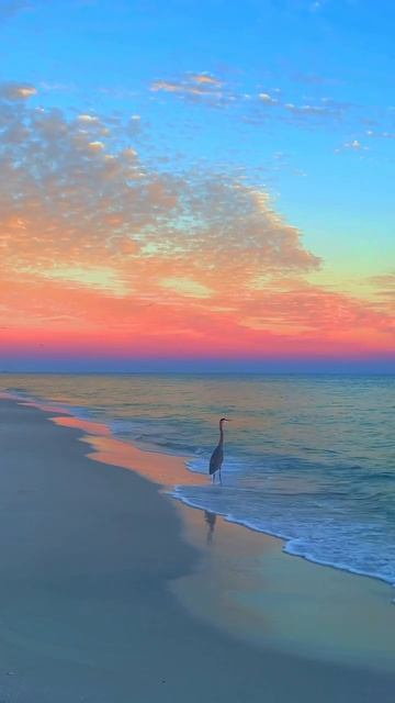 На берегу моря