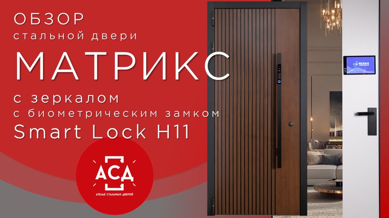 Стальная дверь Матрикс с зеркалом (биометрический замок Smart Lock H-11)