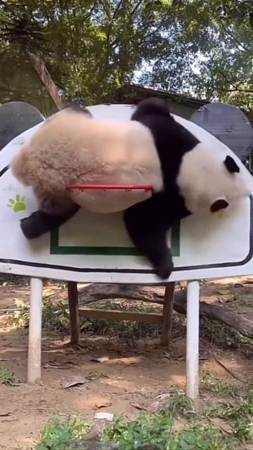 С ТАКОЙ ПЯТОЙ ТОЧКОЙ НЕ ПРОПАДЕШЬ...